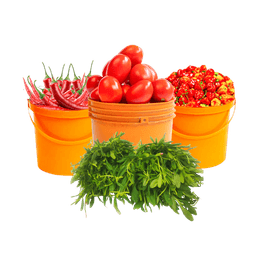 Pricepally - Online grocery store